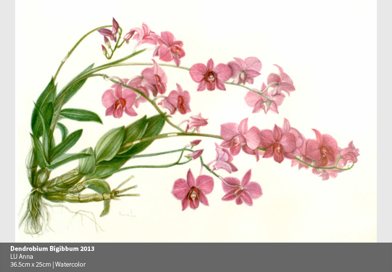 Jada Art Artist Anna LU